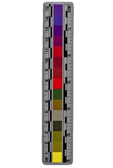 Other Forensic Nursing Products